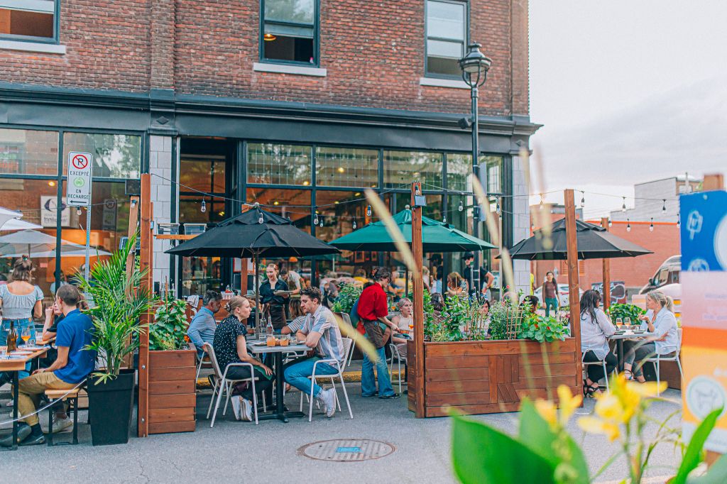 Terrace Guide on the Well - 2025 | Promenade Wellington