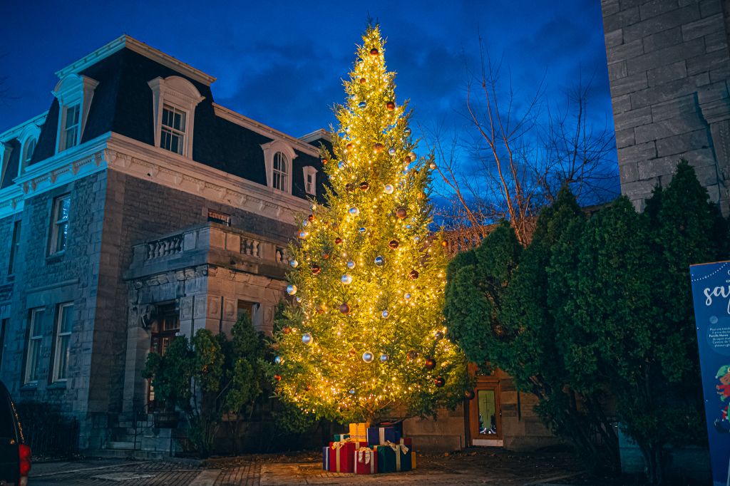 Pôle Well's Giant Christmas Tree | Promenade Wellington